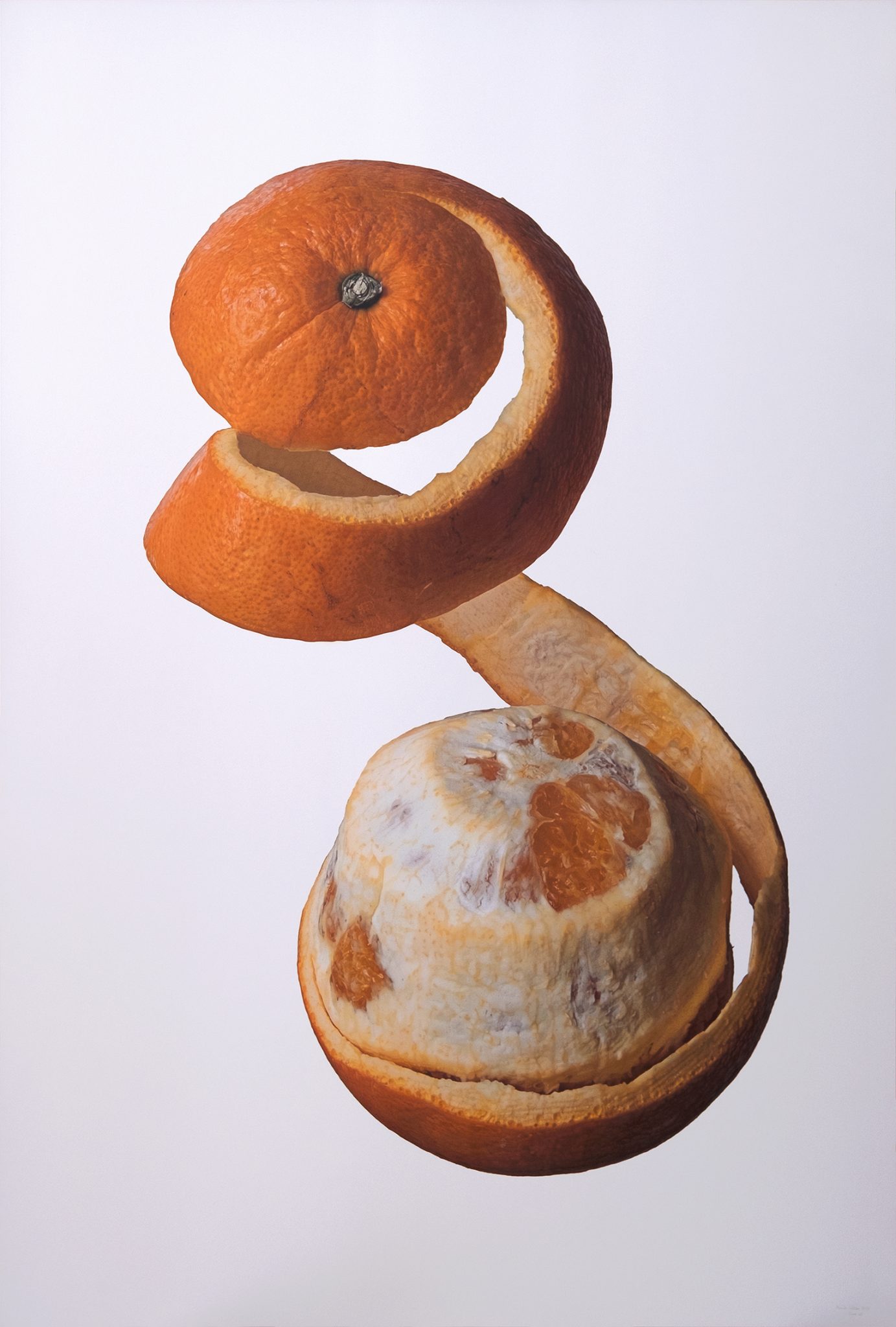 Rómulo Celdrán – visual art