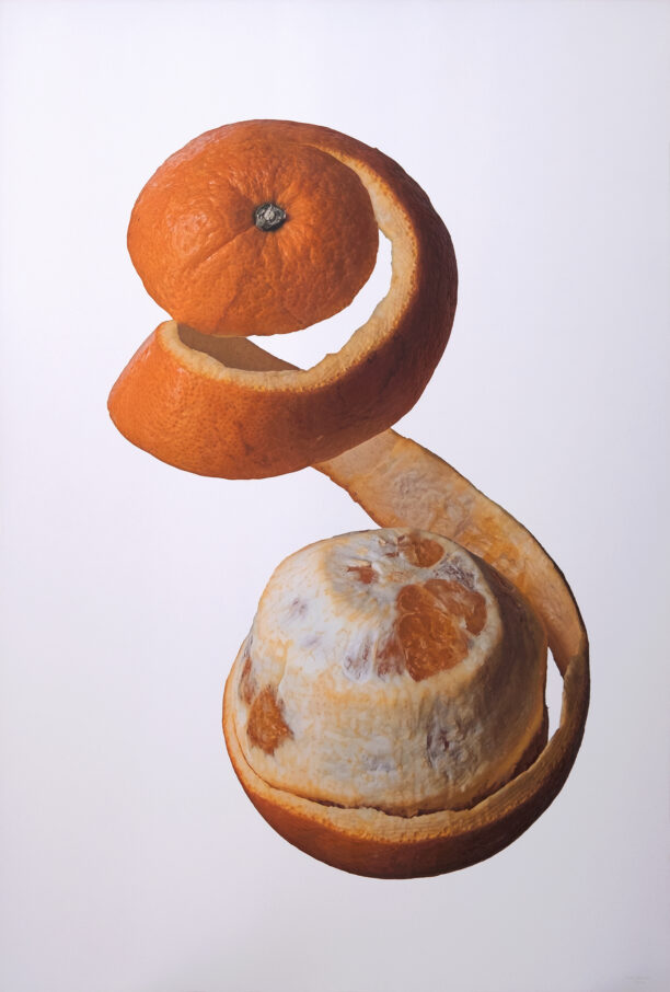 Rómulo Celdrán – visual art