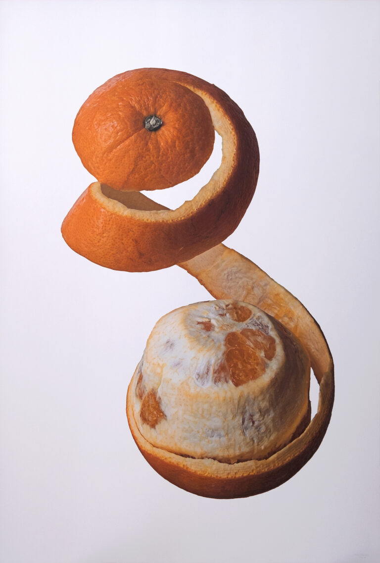 Rómulo Celdrán – visual art